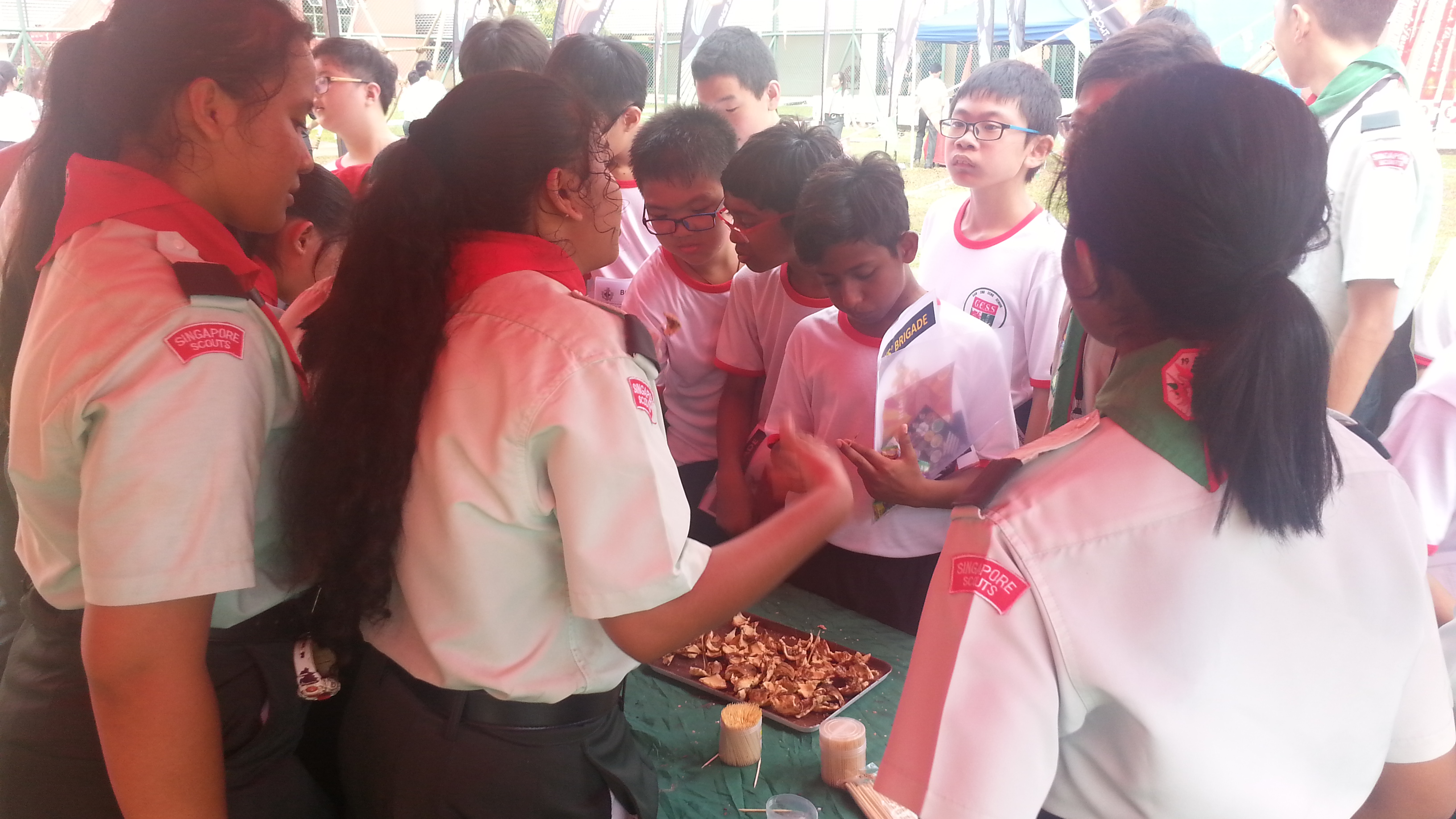 Dragon Scouts Recruitment 2016 – Dragons Online!