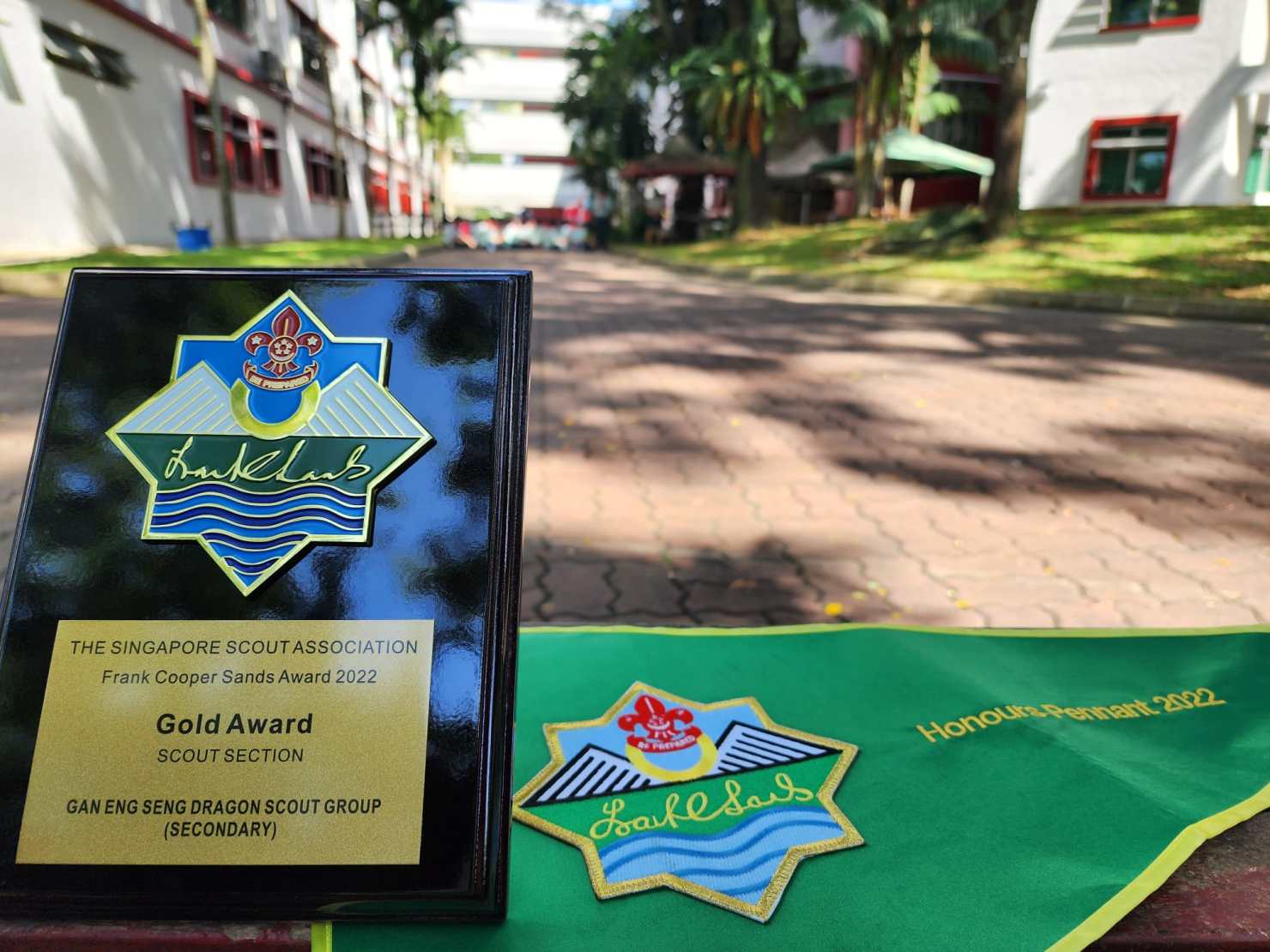 Frank Cooper Sands Award (Gold with Honours Pennant) for 2022 | Dragons ...