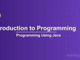 Introduction To Programming Using Java Learn In 7 Days