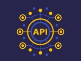 Api Application Programming Interface Software Integration Premium