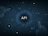 Premium Vector Application Programming Interface Api Concept