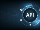 Premium Vector Application Programming Interface Api