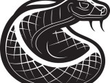 Premium Vector Crafting Vector Masterpieces With Python Python For