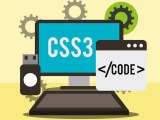 Premium Vector Program Coding Computer