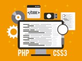 Premium Vector Programming And Coding Website Development