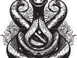 Premium Vector The Python Artisan Vector Illustration Mastery
