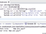 Java String Trim和hashcode方法 极客教程