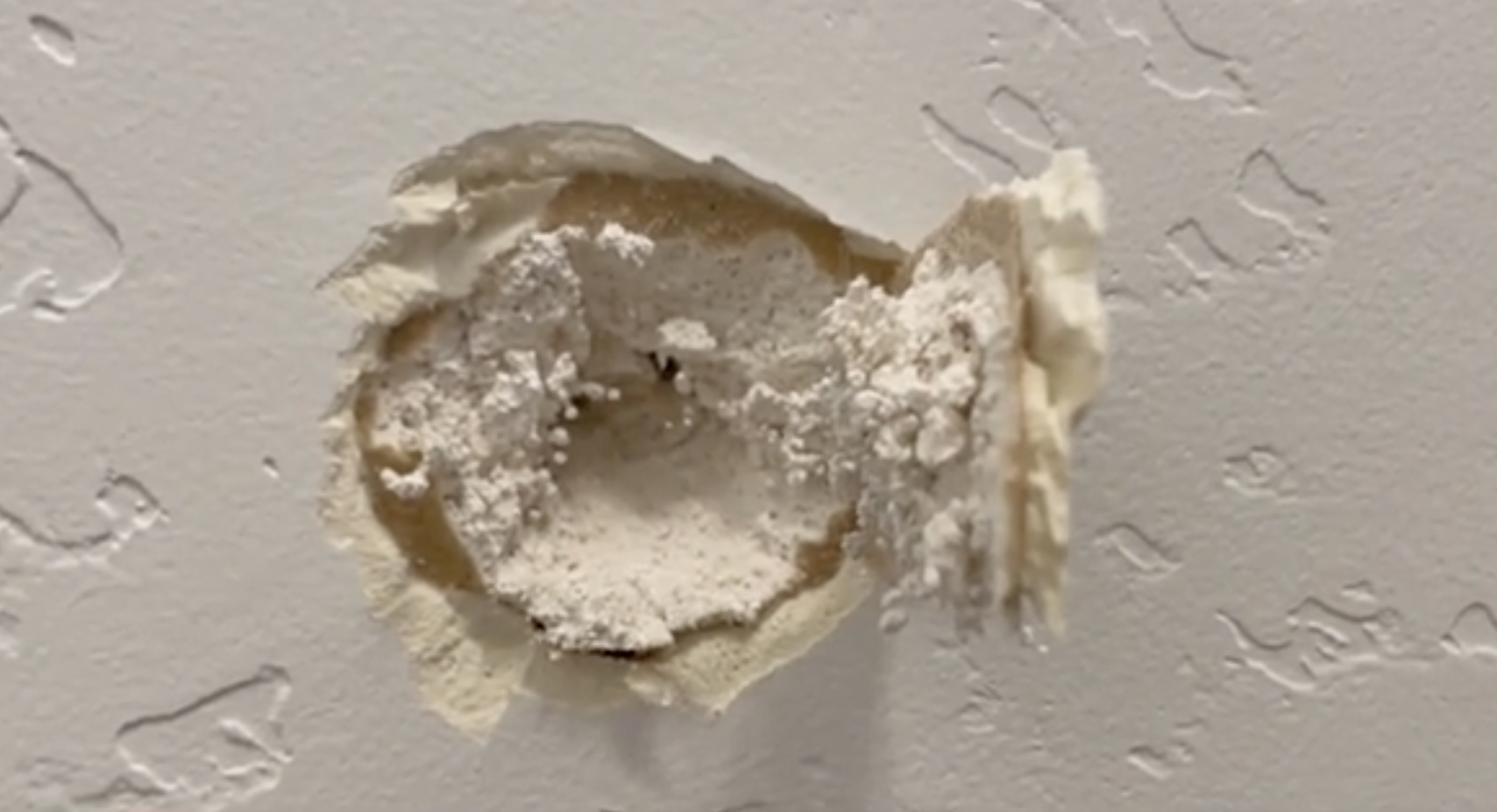 Lehi Police Arrest Man After Shot Fired Through Neighbor S Wall Ksl