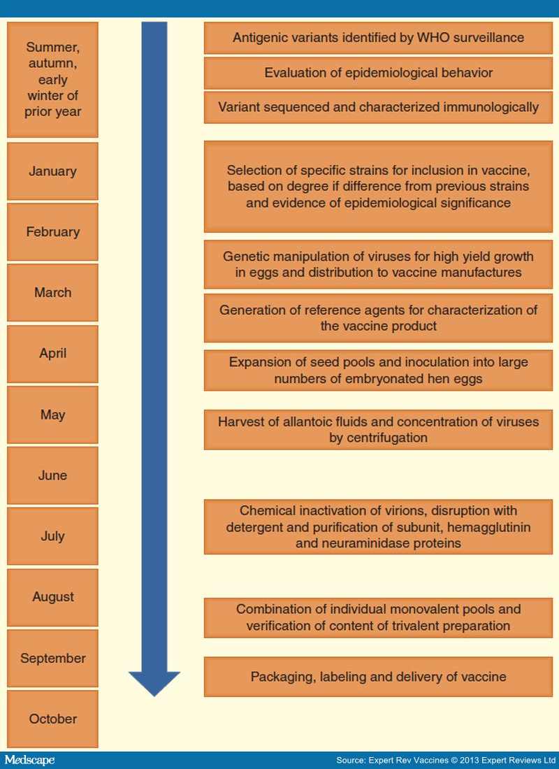 Chapter 2: A Journey to Back in Time | Influenza Vaccination