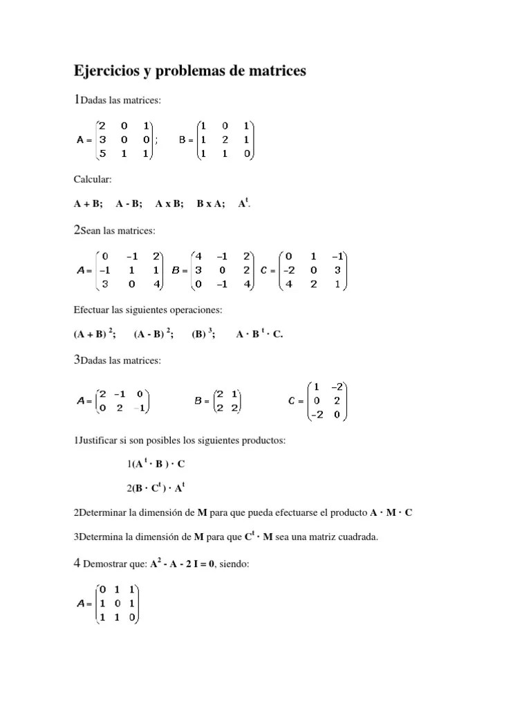 Ejercicios Y Problemas De Matrices | PDF | Matriz (Matemáticas ...