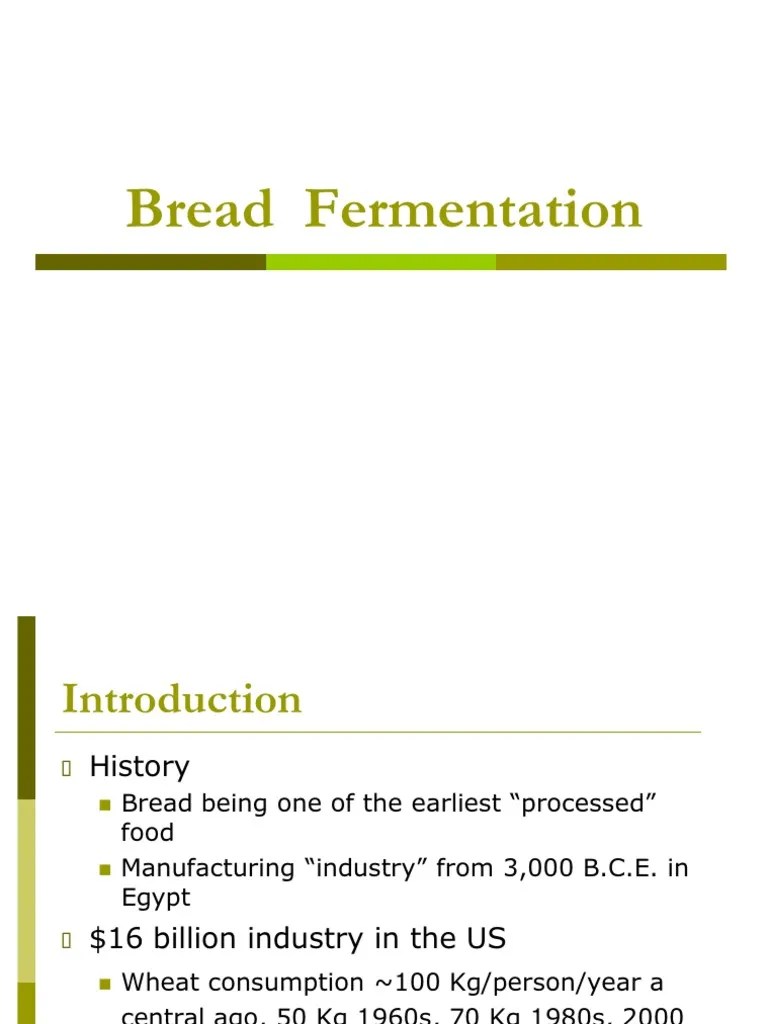 Bread Fermentation | PDF | Sourdough | Breads