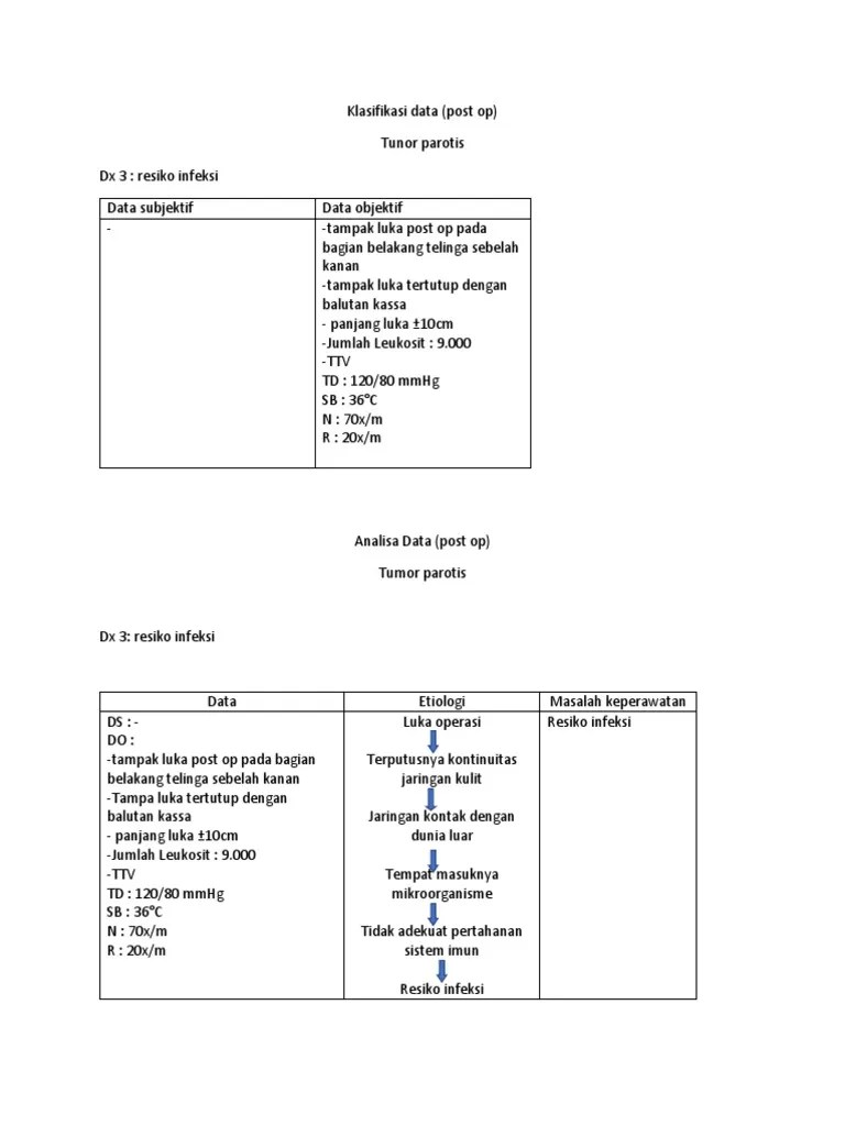 Klasifikasi, Analisa, Diagnosa Resiko Infeksi | PDF
