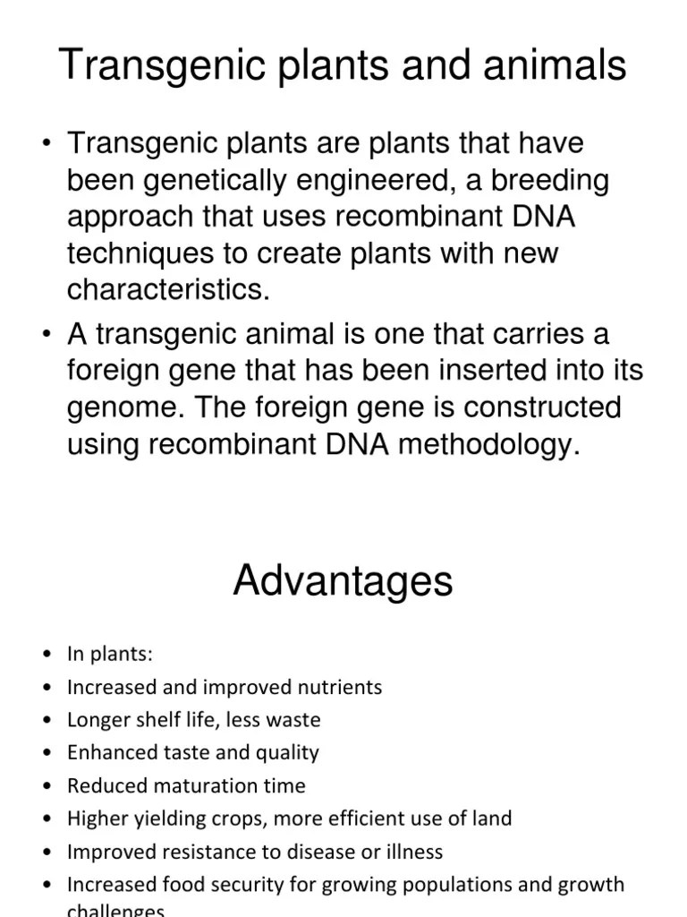 Animal Genetic Engineering 110816 (1) Unit 4 | PDF | Genetically ...