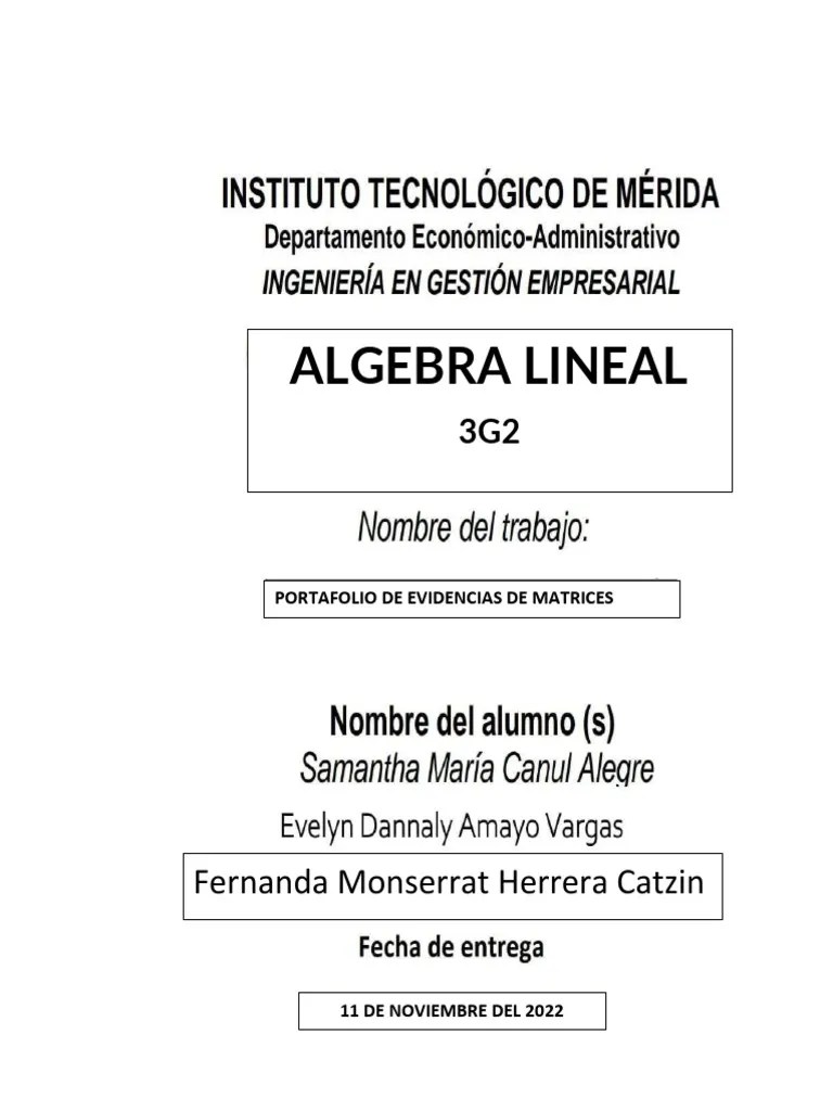 Ejercicios De Matrices | PDF | Matriz (Matemáticas) | Vector Euclidiano
