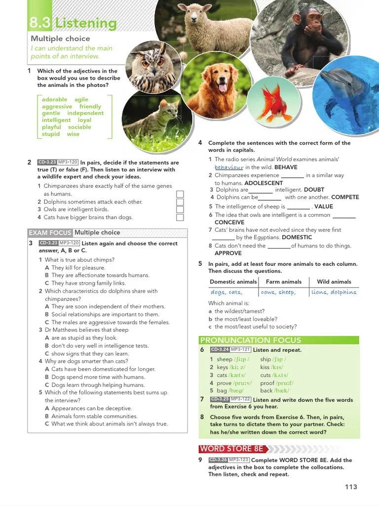 Focus 4 Students Book 113 Pdf Chimpanzee Cats