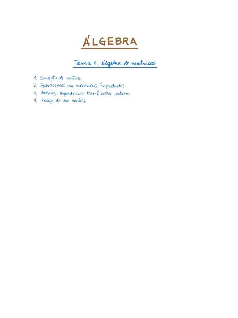 Tema 1. Álgebra De Matrices PDF | PDF