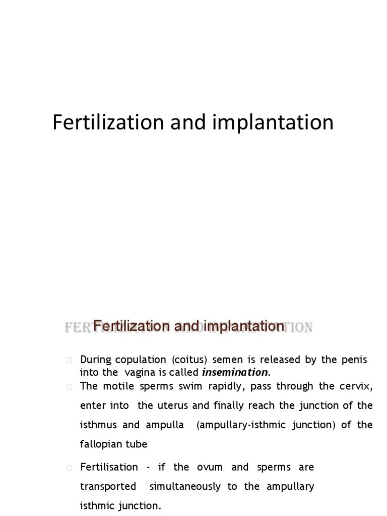 Fertilization And Implantation Copy To Students | PDF | Fertilisation ...