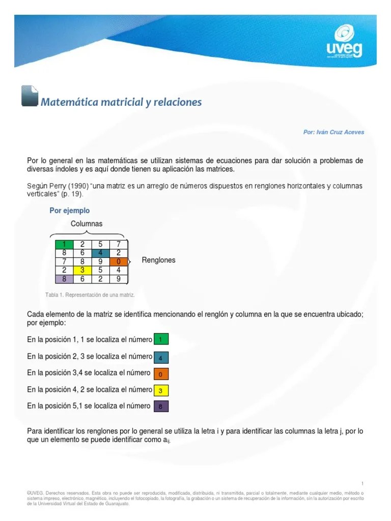 Matematicas Matricial Y Relaciones | PDF