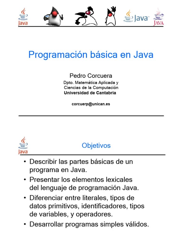 Introducción A La Programación En Java Pdf Puntero Programación De
