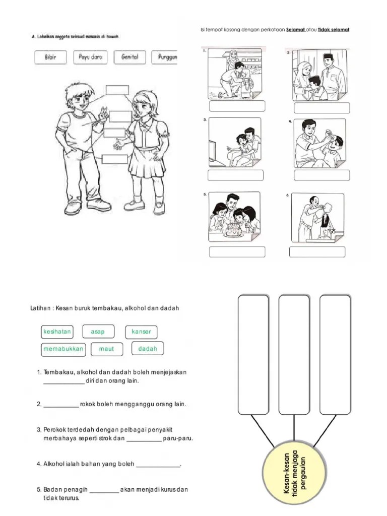 Pendidikan Kesihatan Tahun 3 | PDF
