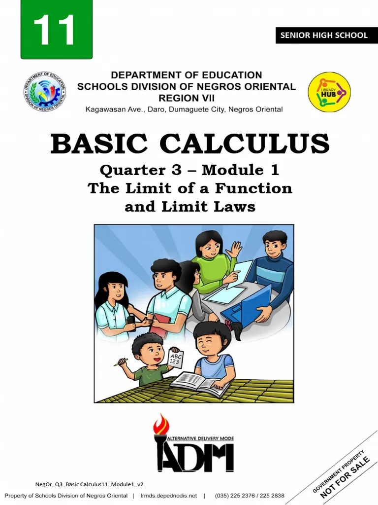 Basic Calculus Q3 Module 1 Pdf Function Mathematics Learning