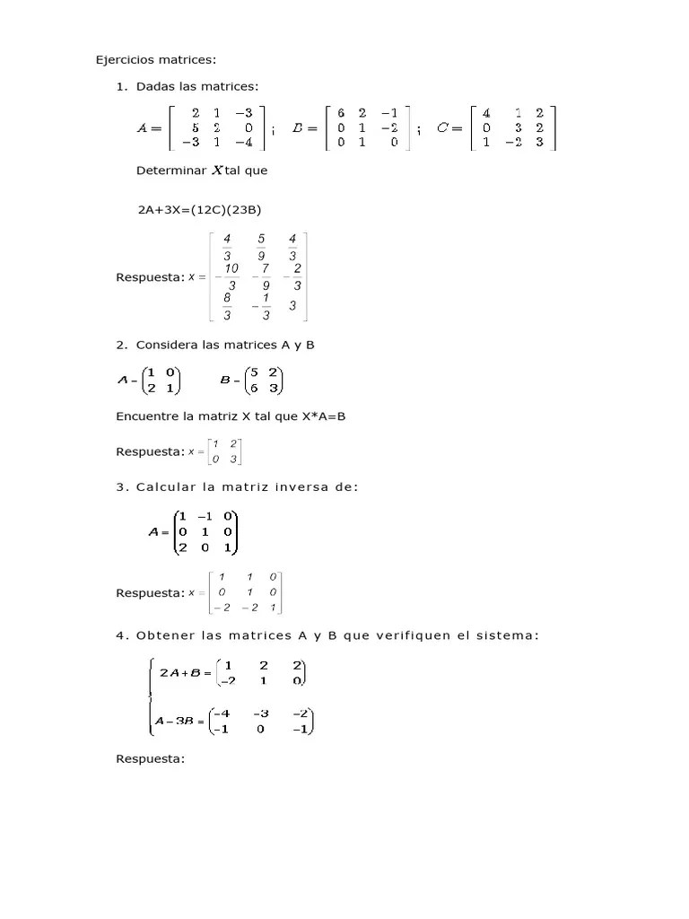 Ejercicios Matrices | PDF