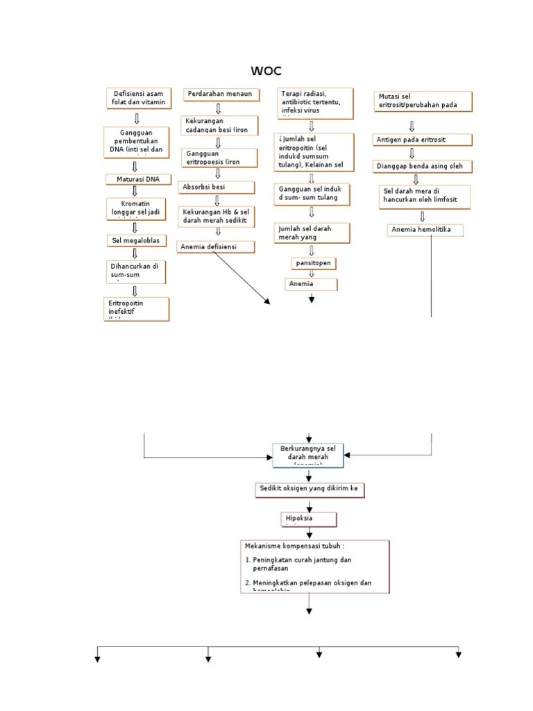 Woc Anemia Pdf