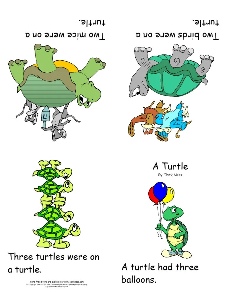 A Turtle One Page Format Pdf Young Adult
