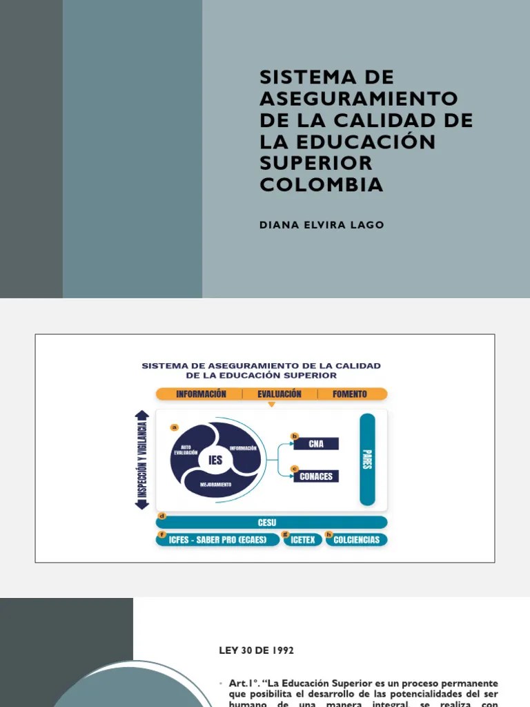 Registro Calificado Pdf Educación Más Alta Evaluación