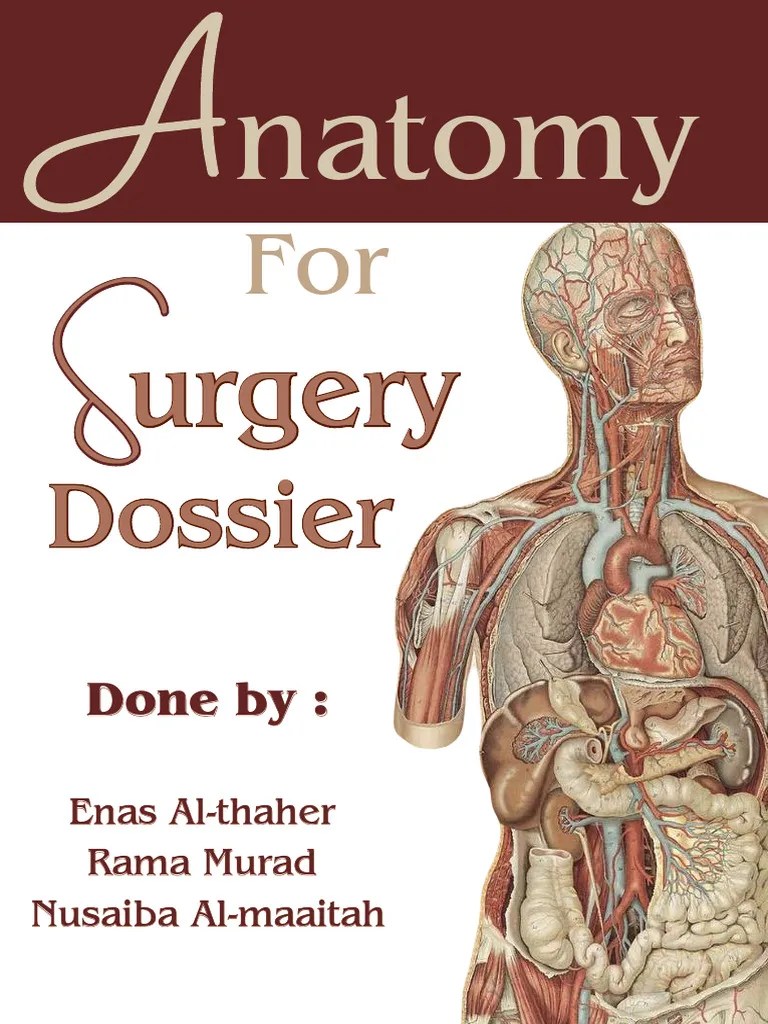 Surgery Anatomy Dossier Pdf Stomach Pancreas