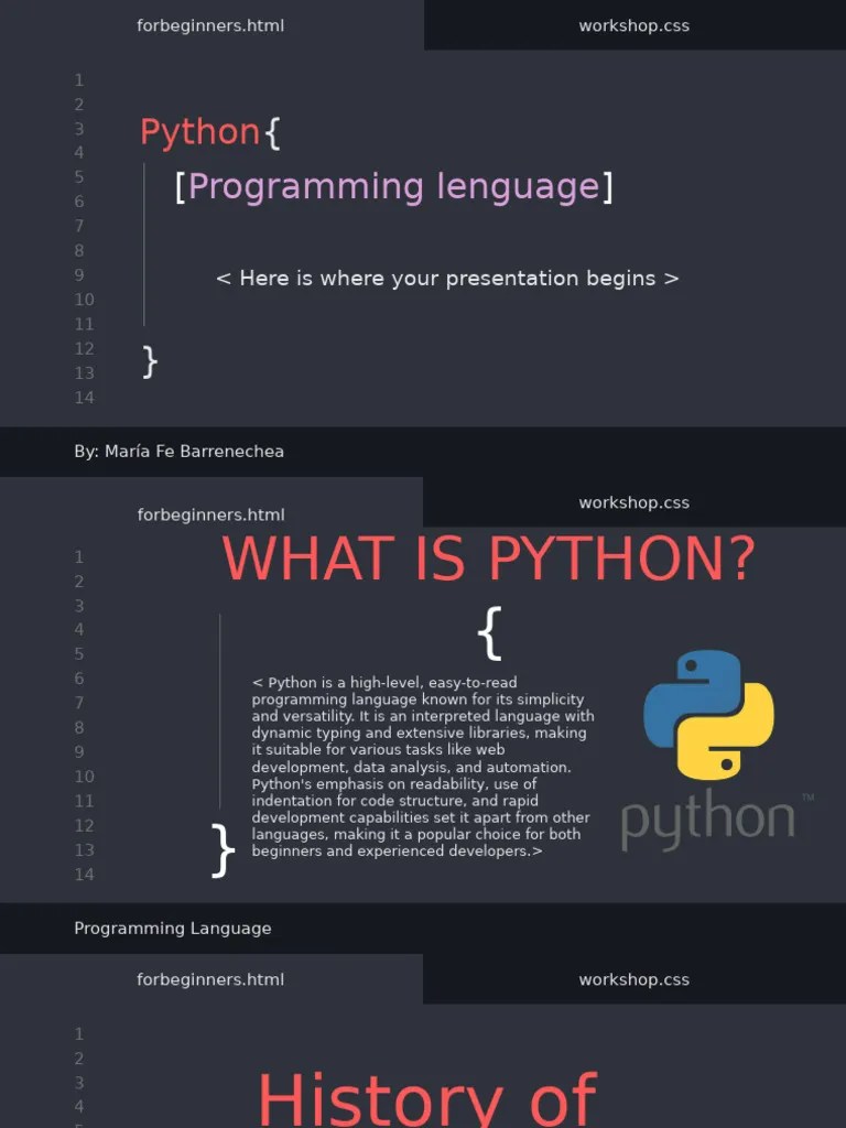 Python Ict 2024 Pdf