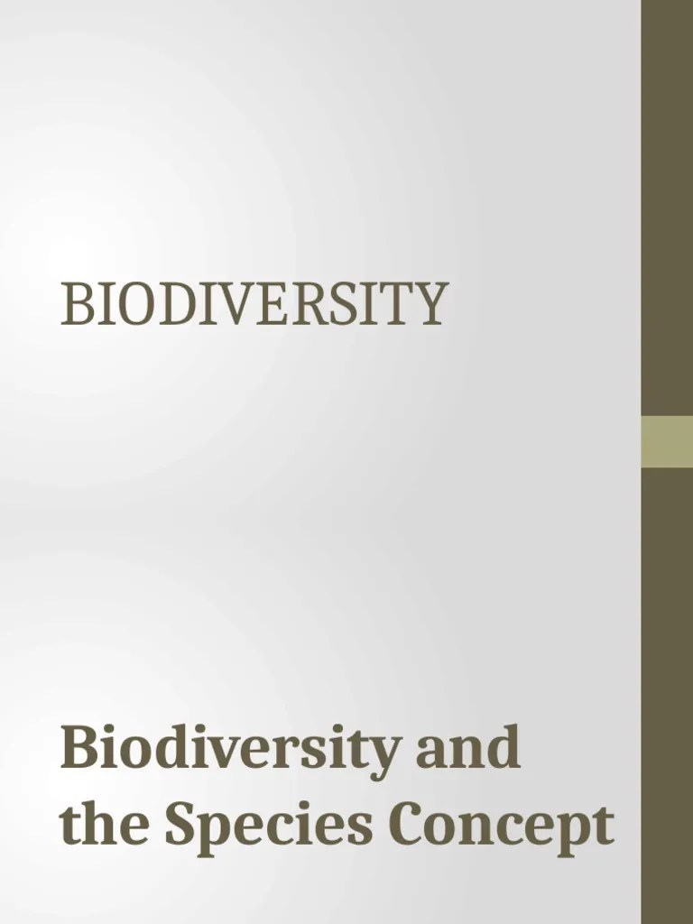 Biodiversity Pdf Biodiversity Species