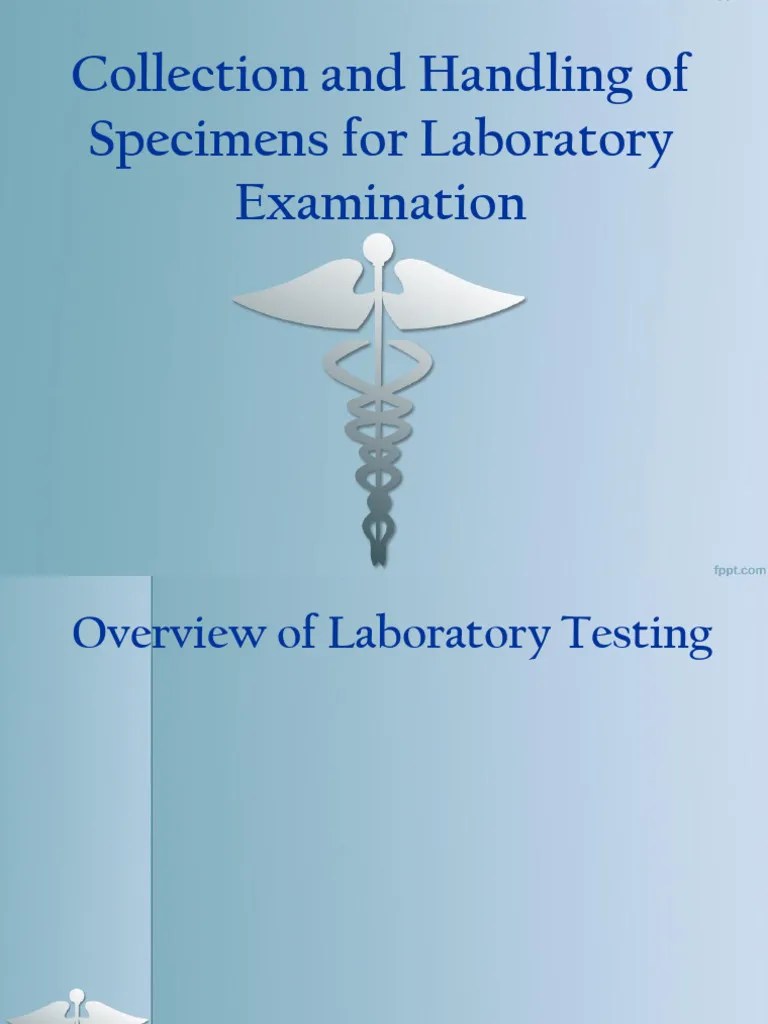 Vet Clin Path 2 Collection And Handling Of Specimens For Laboratory