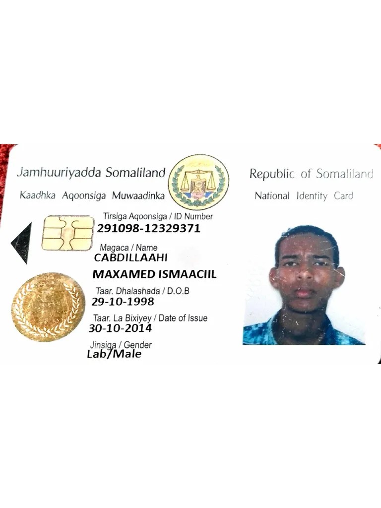 Basic English Grammar 3rd Ed Pdf