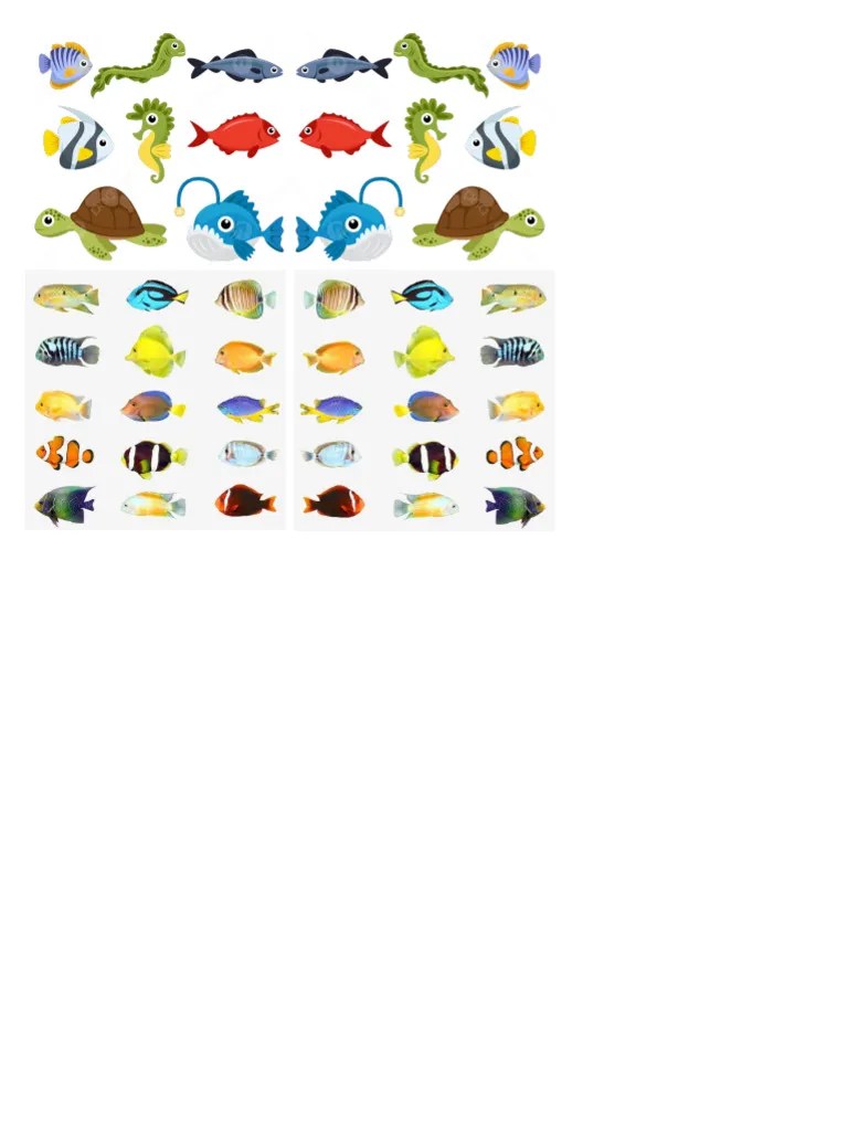 Fish Pdf