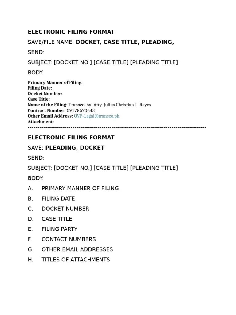 Electronic Filing Format Pdf