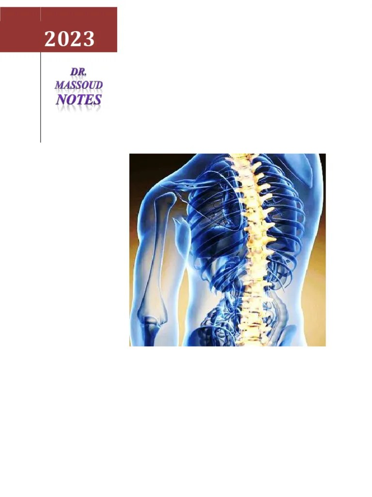 Part 1 Lumbar Spine Endoscopy Notes Dr M Massoud Pdf Vertebra