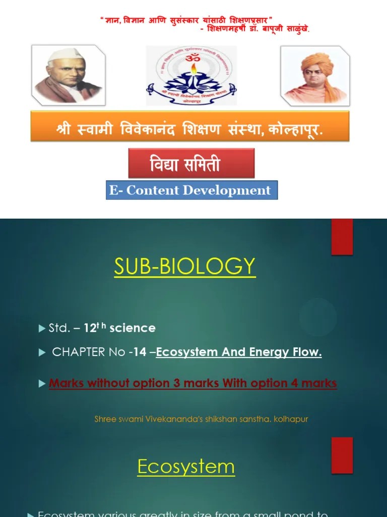 Ecosystem And Energy Flow Pdf Ecosystem Food Web