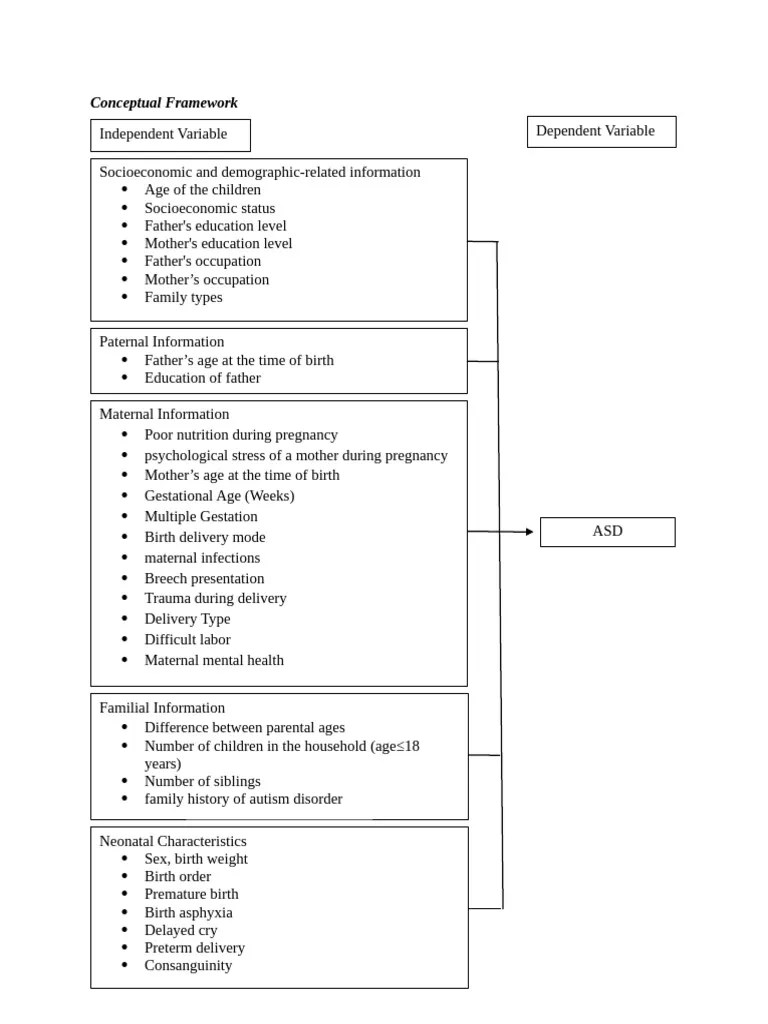Conceptual Framework Pdf