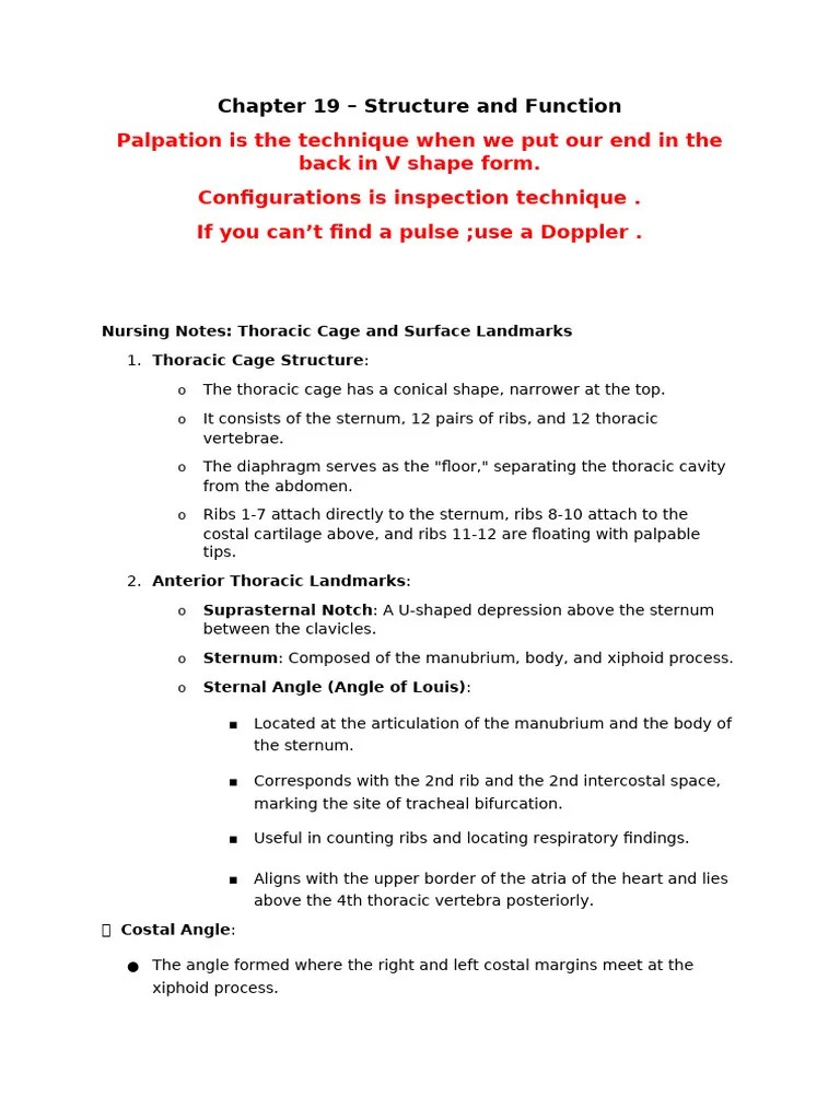 Chapter 19 Thorax Lung Pdf Lung Thorax