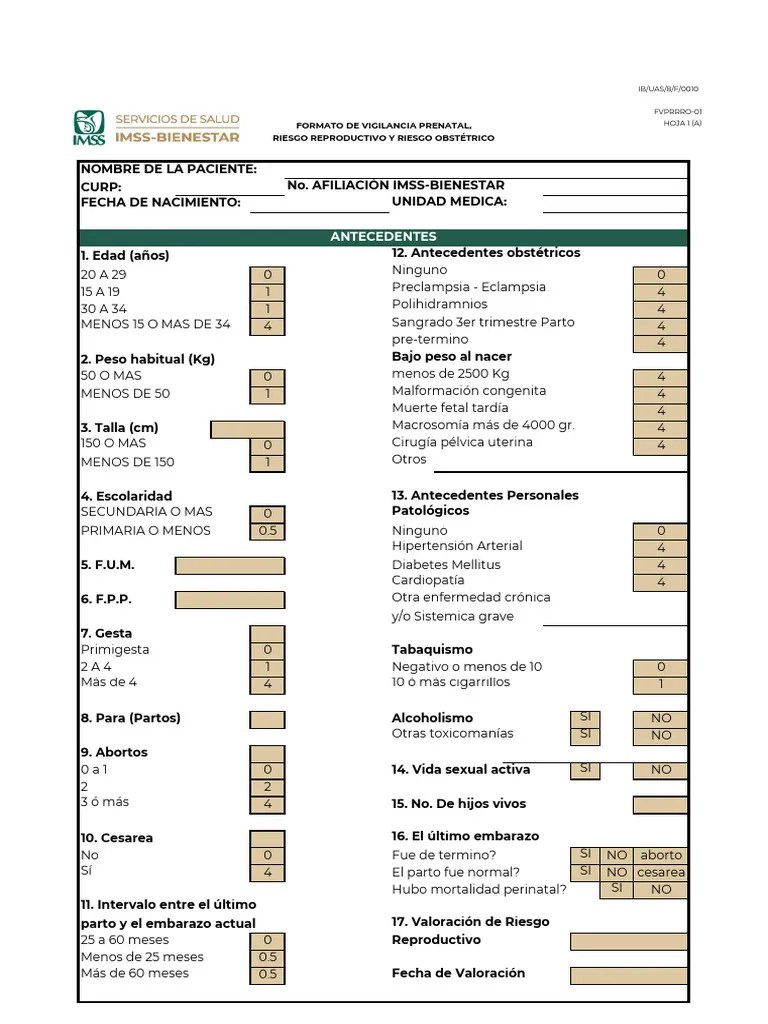 Vigilancia Prenatal Y Riesgos Obstétricos Pdf El Embarazo Parto