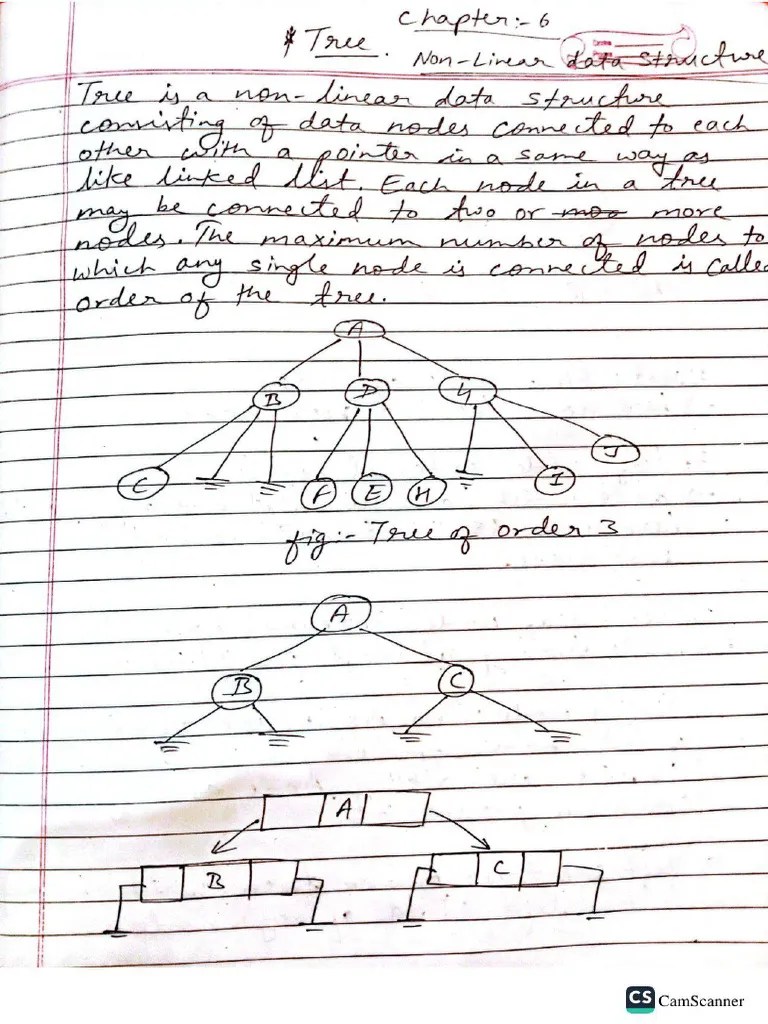 Tree Graph Sorting Algorithm Hand Written Note Pdf