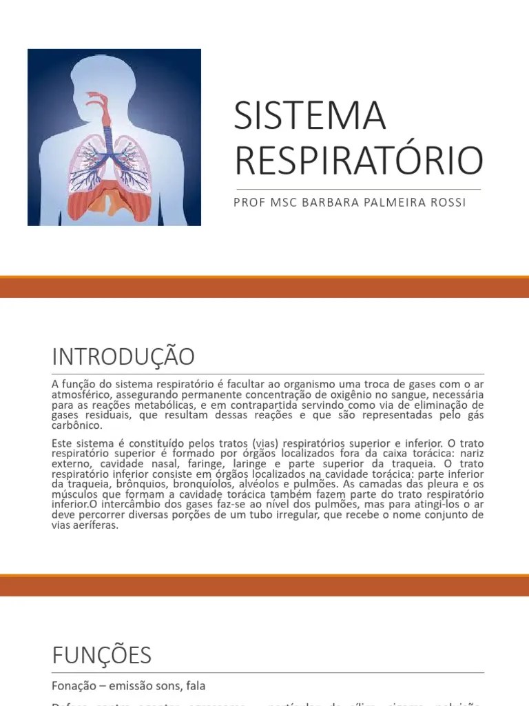 Anatomia Do Sistema Respiratorio Pdf Pulmão Laringe