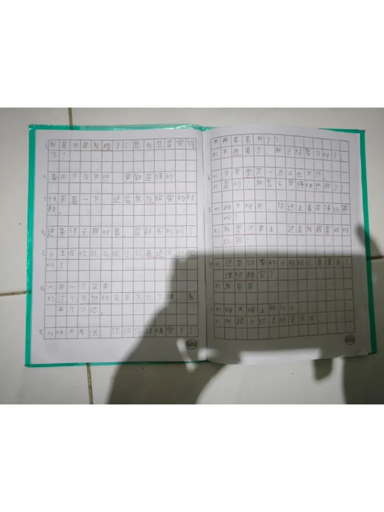 Mandarin Pdf