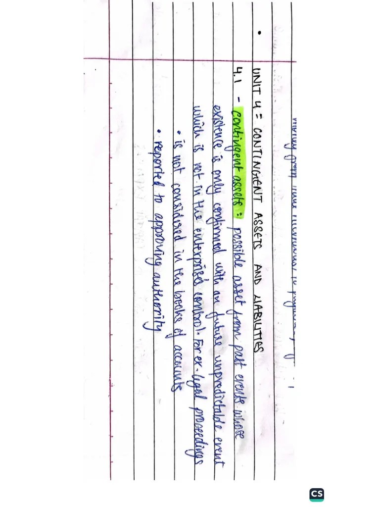 Accounting Ca Foundation Notes Ch1 U4 Pdf