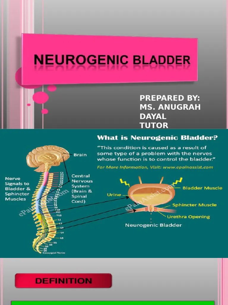 Neurogenic Bladder Pdf