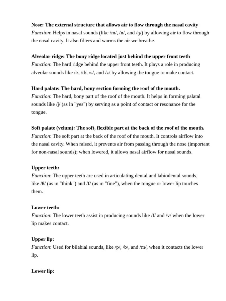 Articulator Pdf