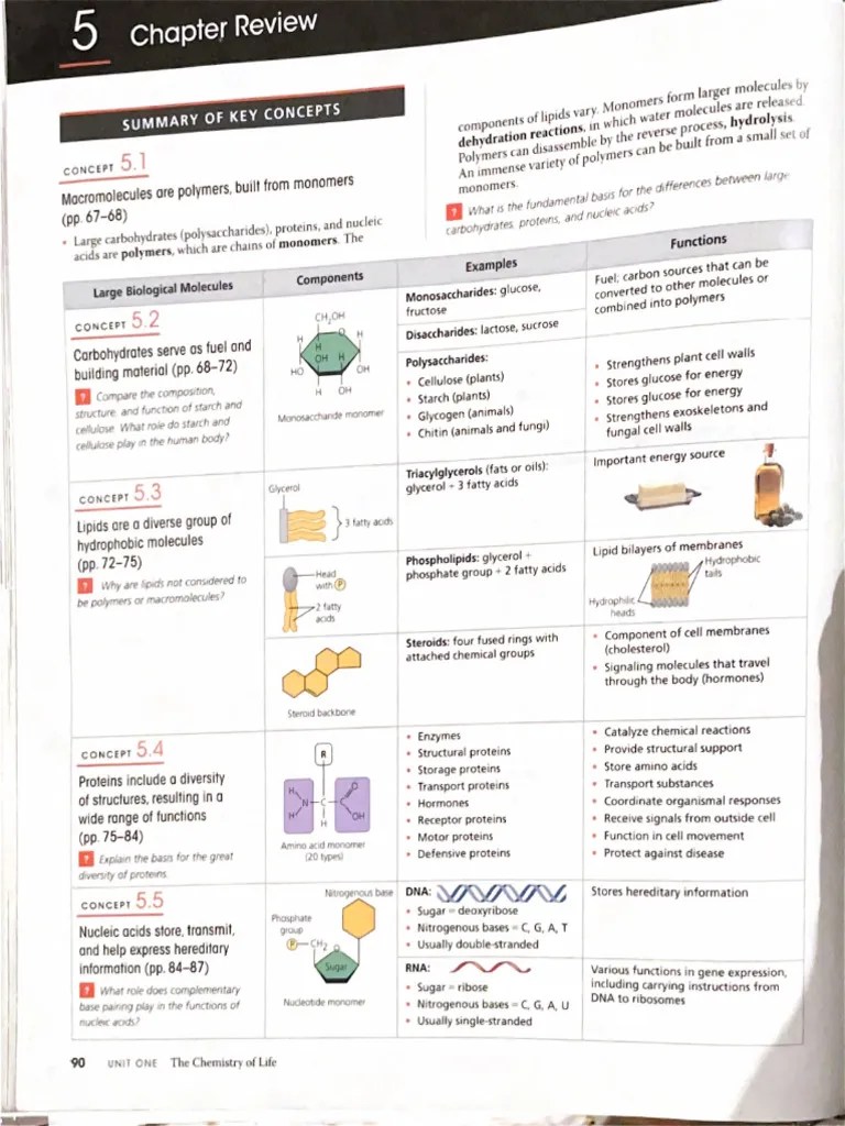 Campbell S Ap Biology Unit 5 Overview Pdf