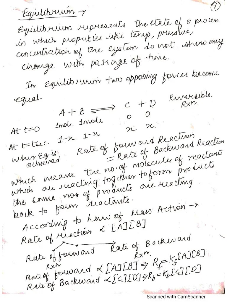 Equilibrium Notes Pdf