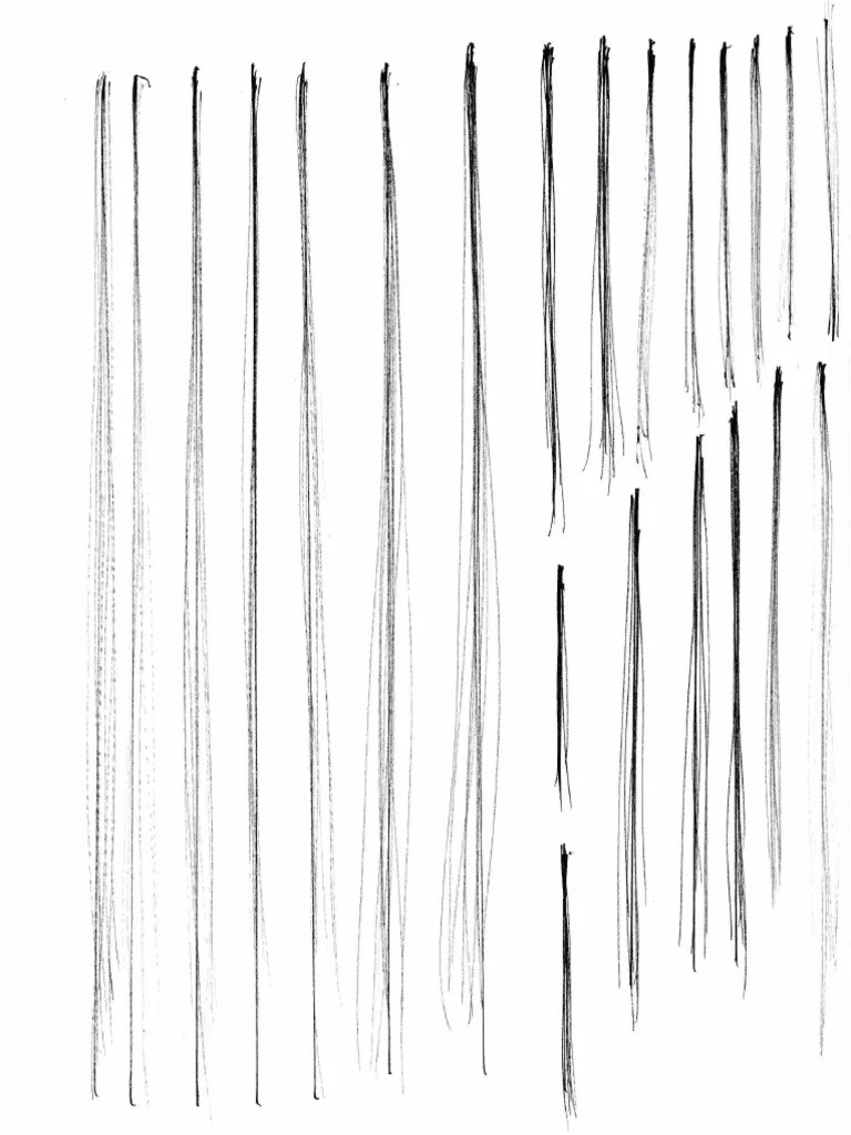 Homework Lesson 1 20250510 0002 Pdf